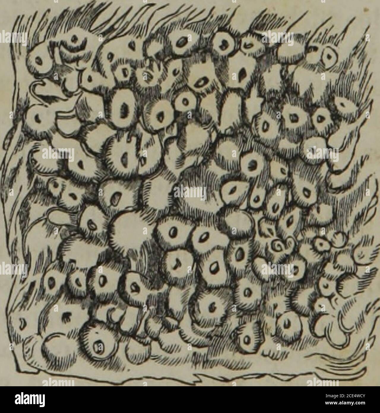 Brane theory hi-res stock photography and images - Alamy