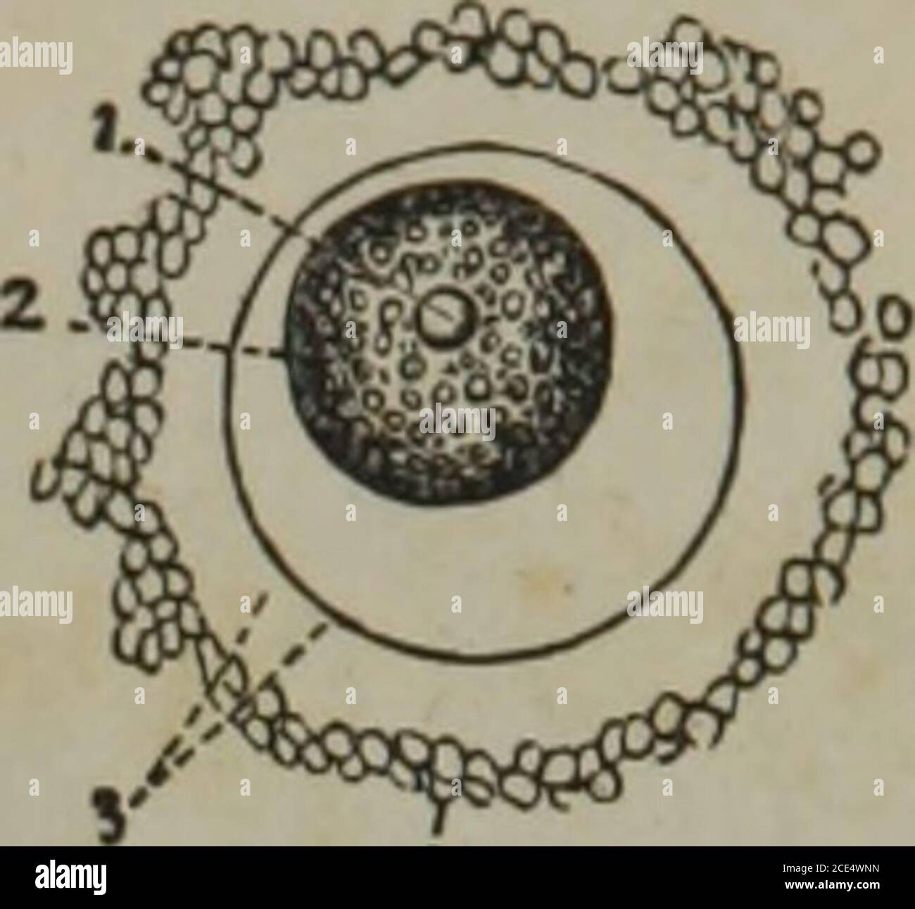 The compact theory hi-res stock photography and images - Alamy