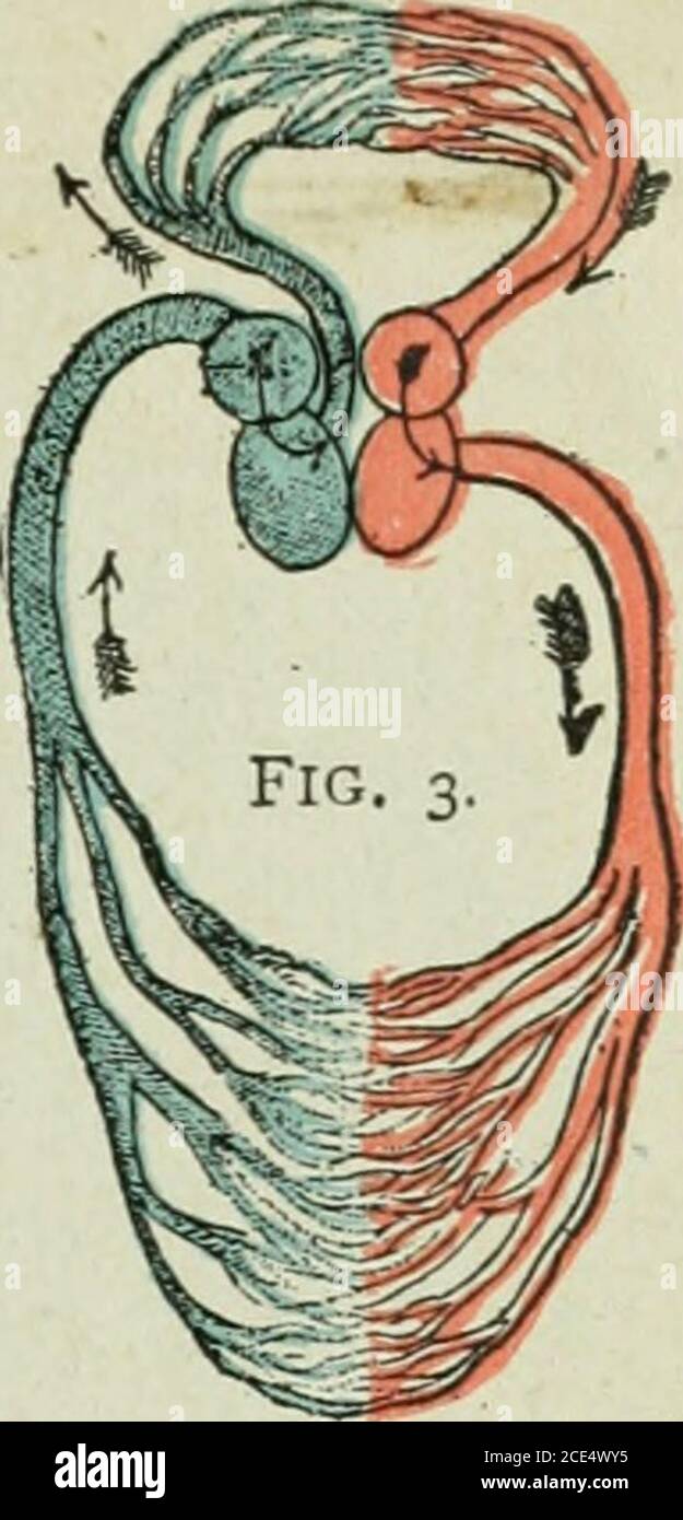Impure in heart hi-res stock photography and images - Alamy
