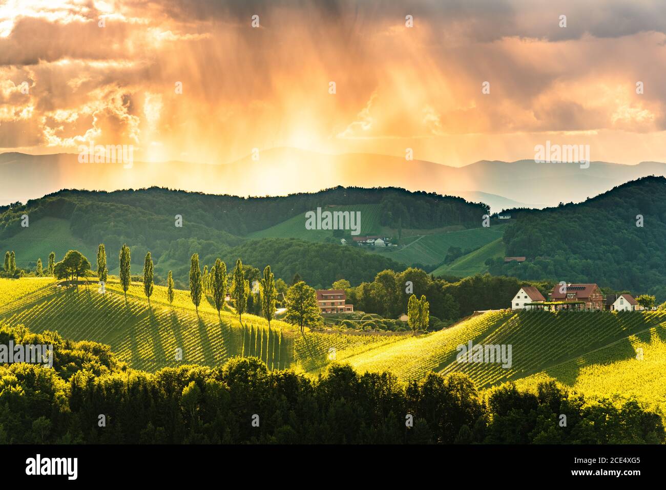 Beautiful landscape of Austrian vineyards in south Styria. Famous ...