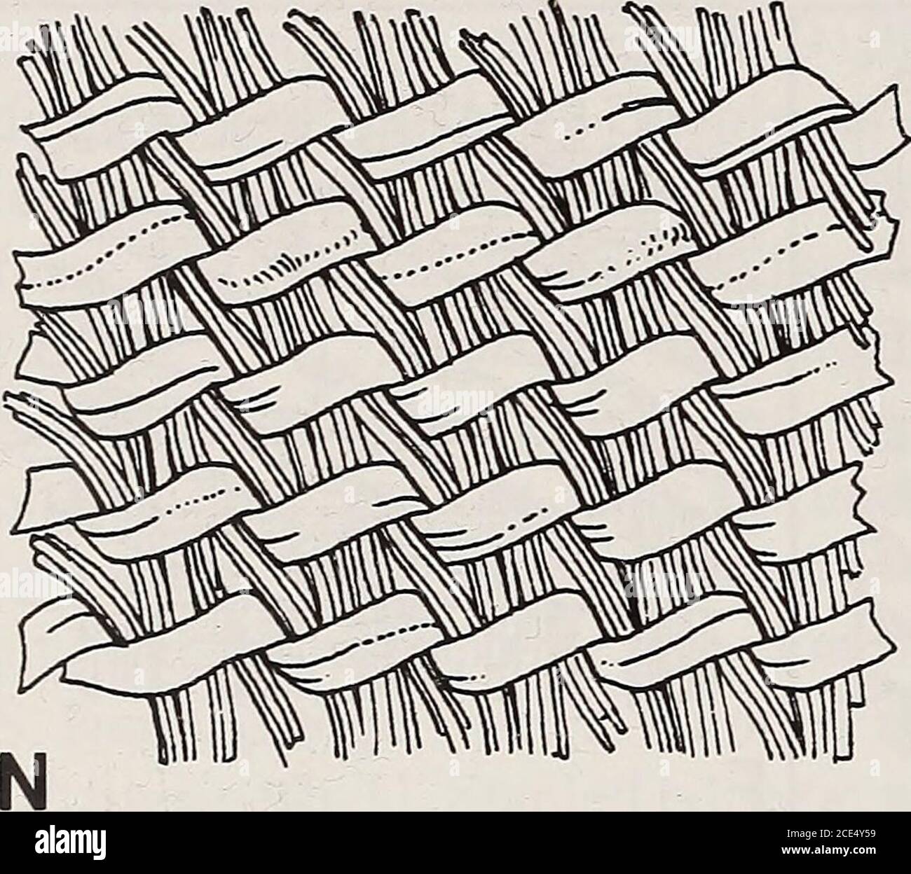 . Annals of the South African Museum = Annale van die Suid-Afrikaanse ...