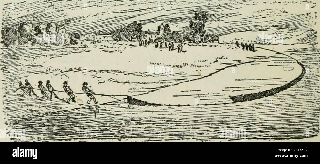 . Beginners' Zoology . e sides ofthe body; this causes the fish to sink ...