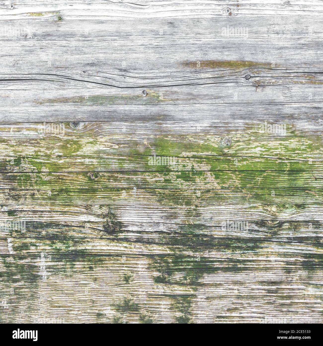 Moss and mold on wood Stock Photo - Alamy