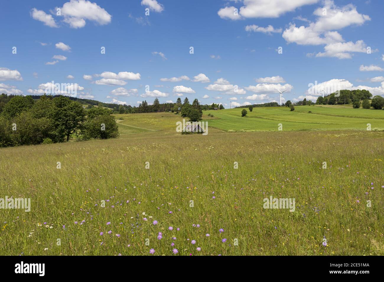 Wellige hochflaeche hi-res stock photography and images - Alamy
