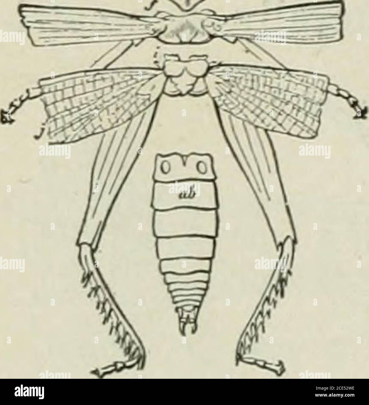 Twoportions hi-res stock photography and images - Alamy