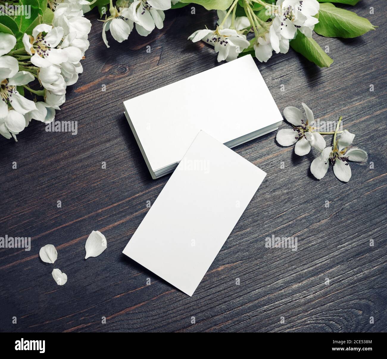 Blank cards hi-res stock photography and images - Alamy