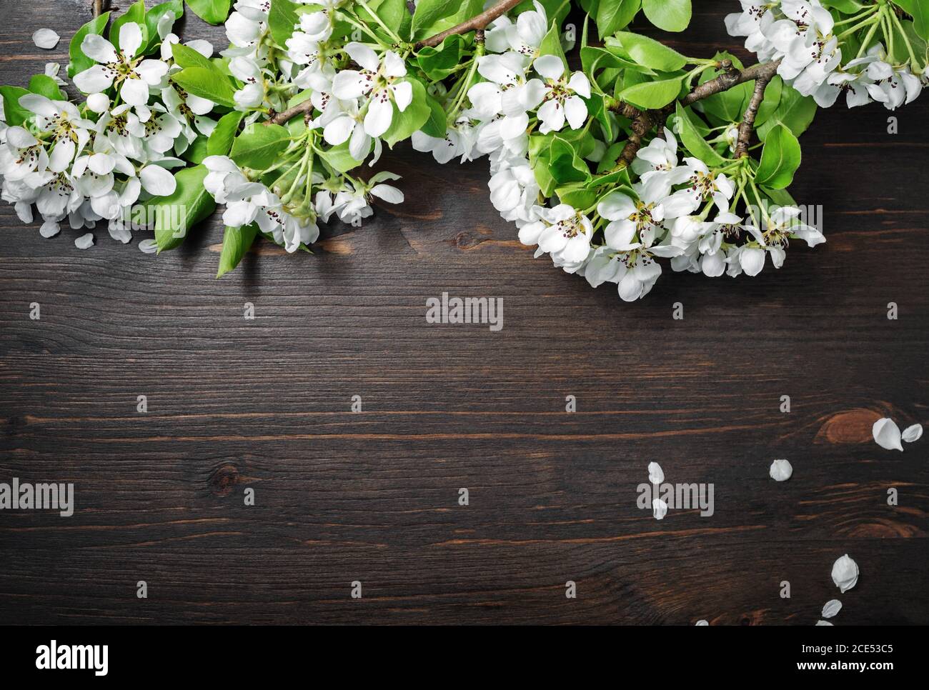 Wood background, spring flowers Stock Photo - Alamy