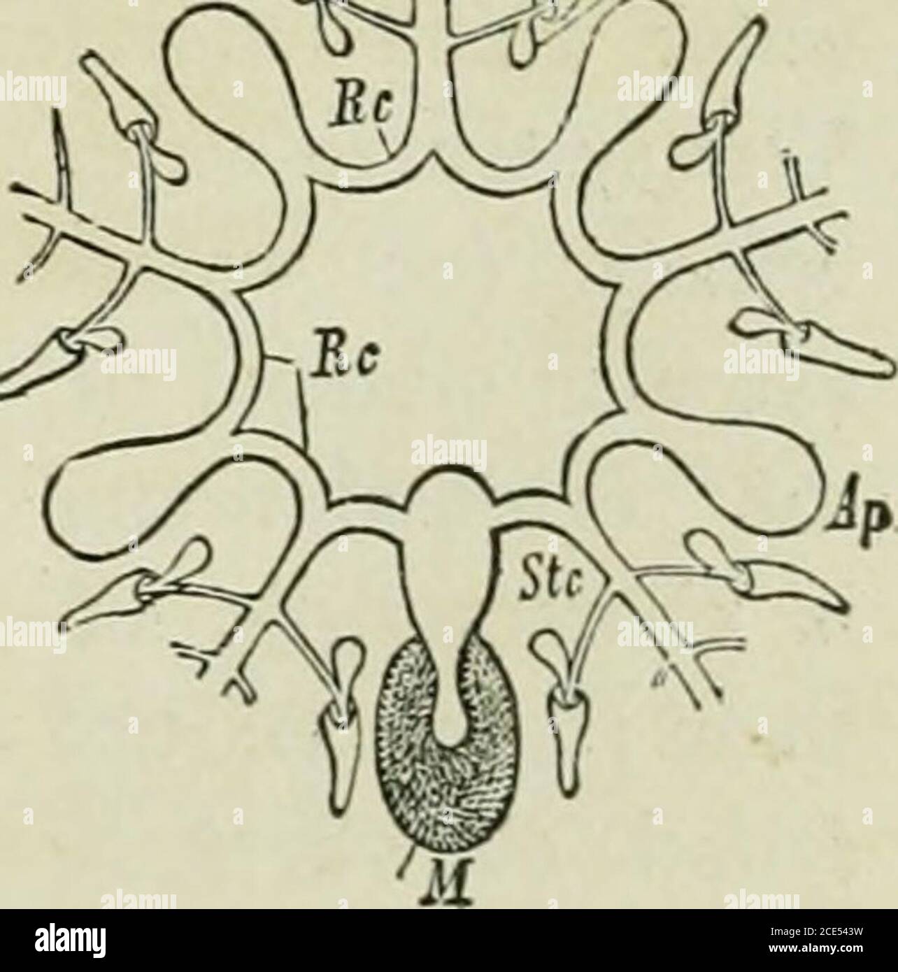 Stonecanal hi-res stock photography and images - Alamy