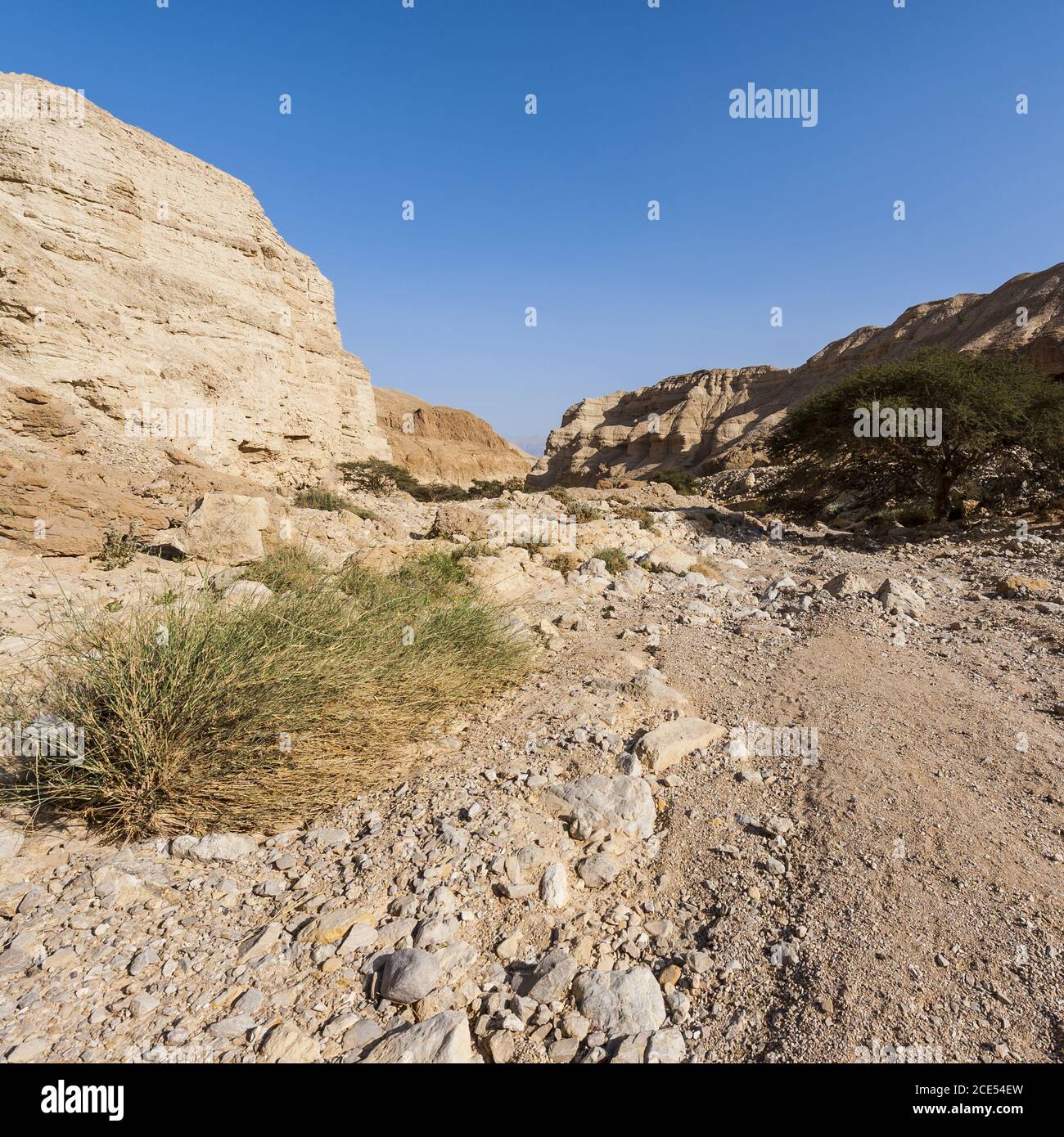 Stone Desert in Israel Stock Photo - Alamy