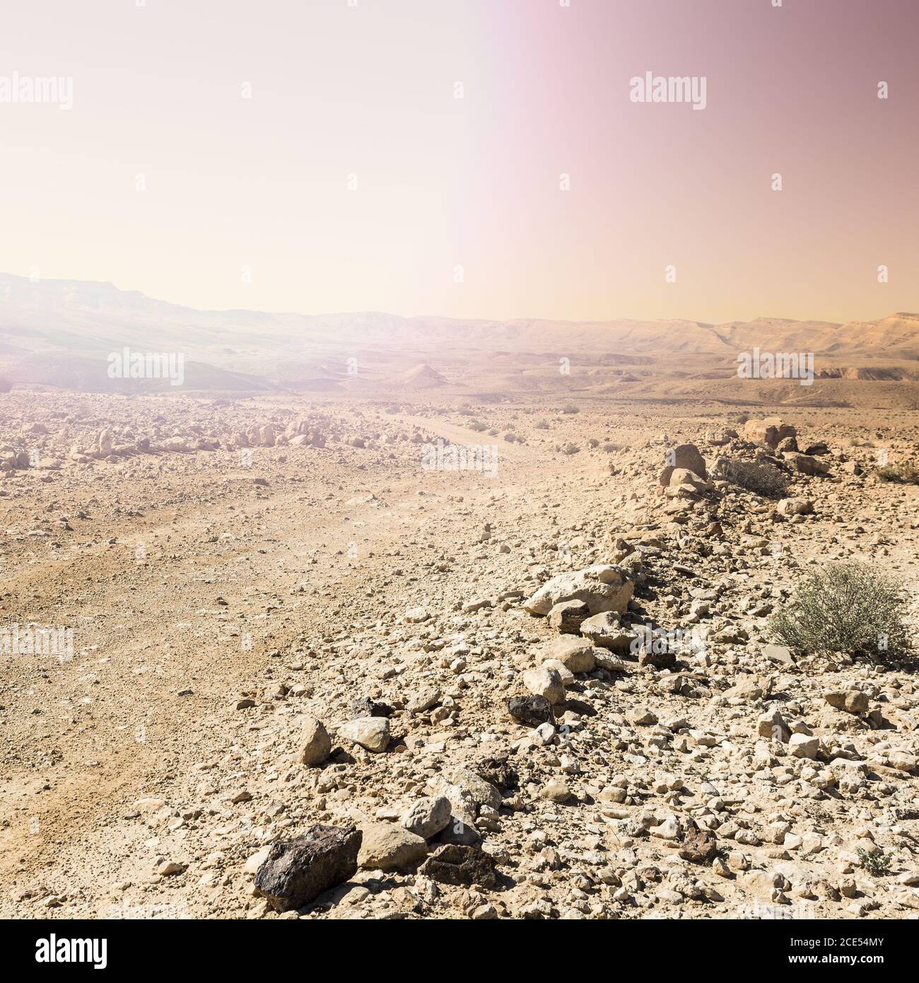 Desert in Israel at sunrise Stock Photo - Alamy