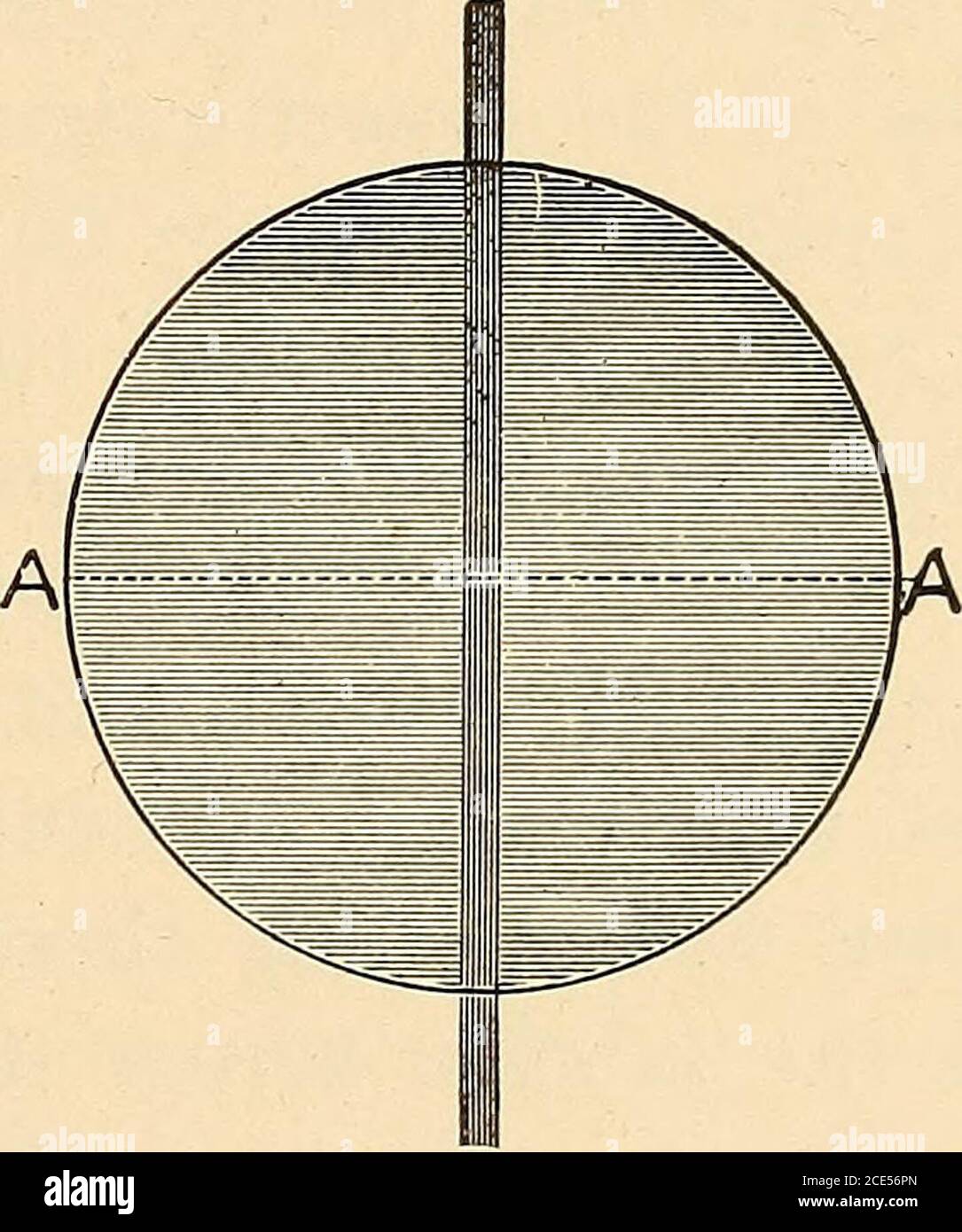 Seenthrough hi-res stock photography and images - Alamy