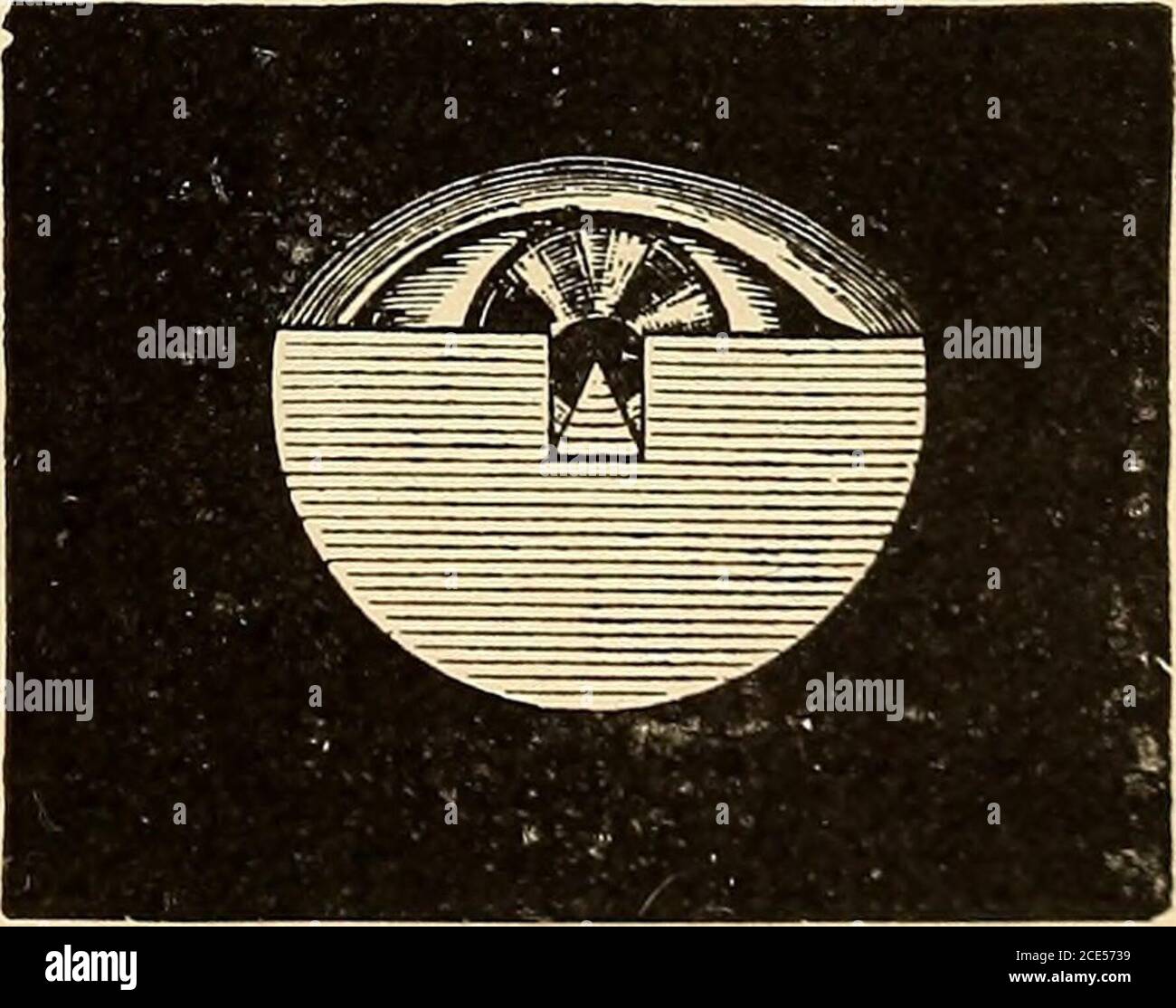 . Spectacles and eyeglasses, their forms, mounting, and proper ...