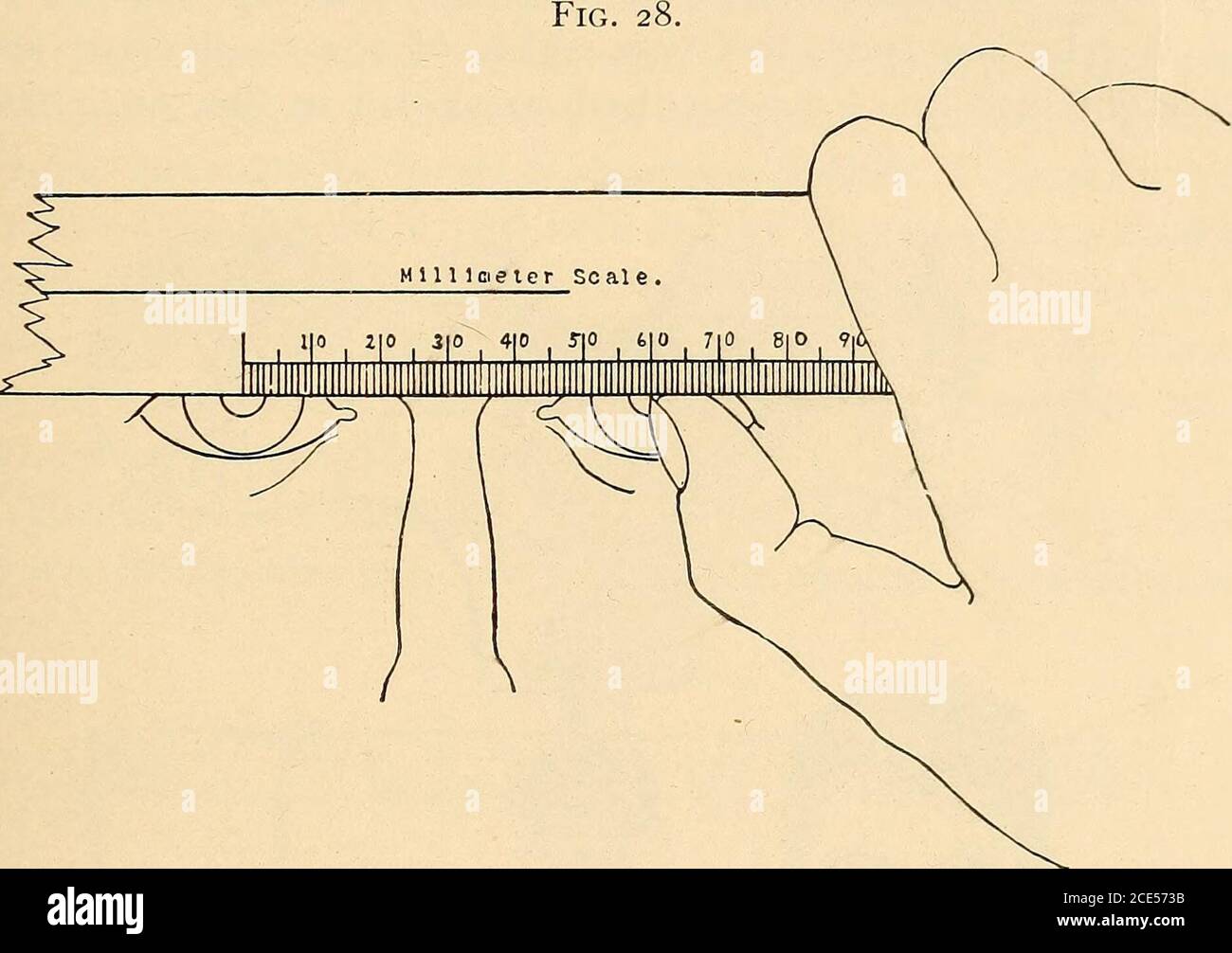 Two Scale Marks High Resolution Stock Photography and Images - Alamy