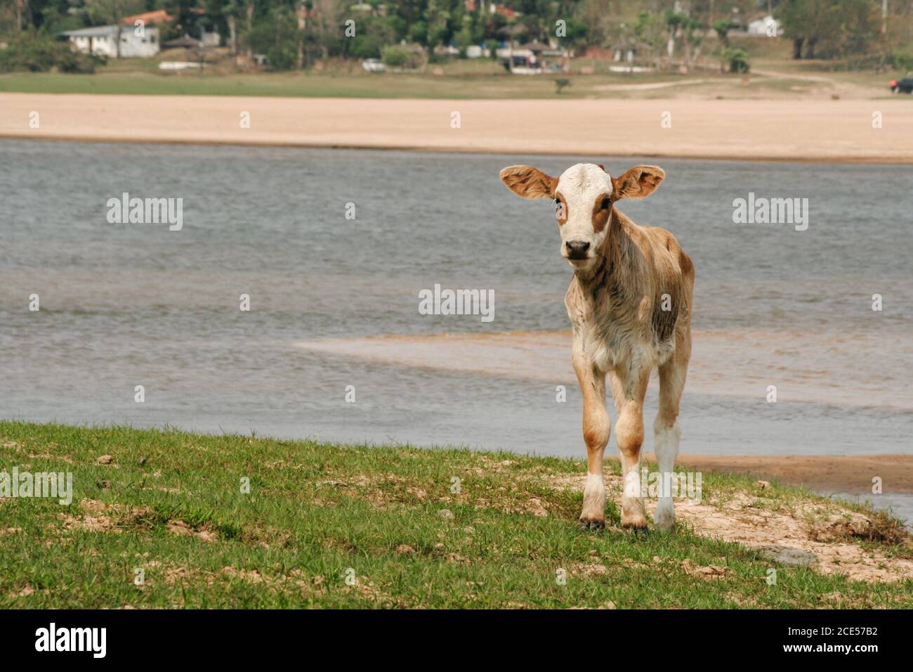 Eastern region paraguay hi-res stock photography and images - Alamy