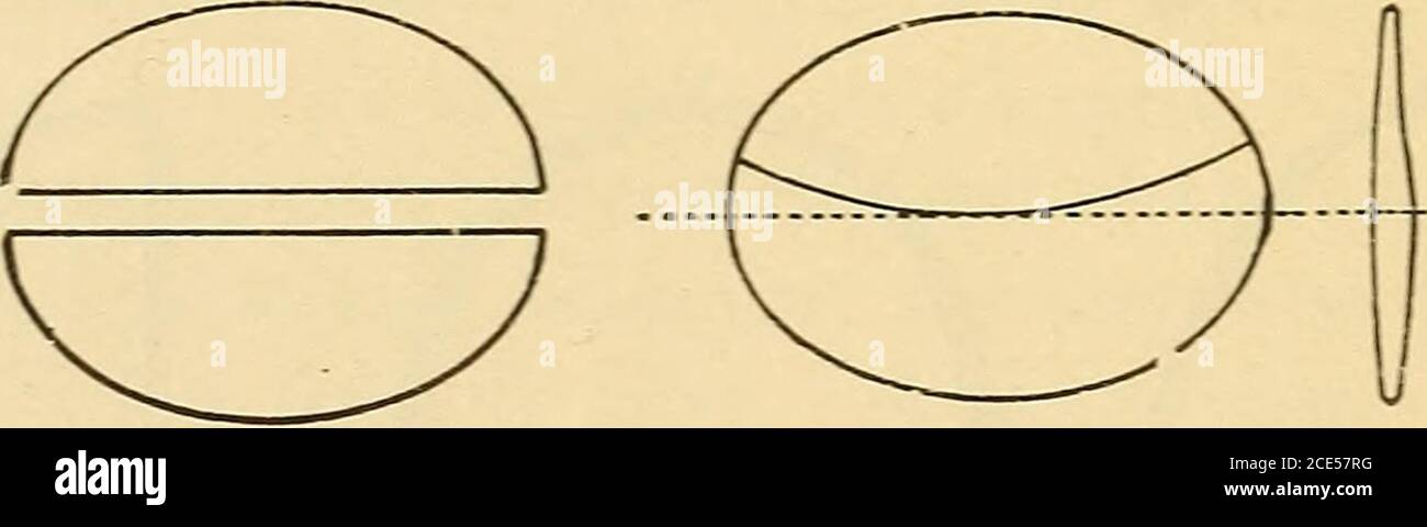 . Spectacles and eyeglasses, their forms, mounting, and proper ...