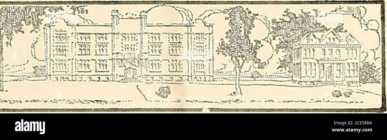 . Bizarre . COMMENCEMENT 1913. Orlando Jacques Amiens Oliver Duke Duke ...