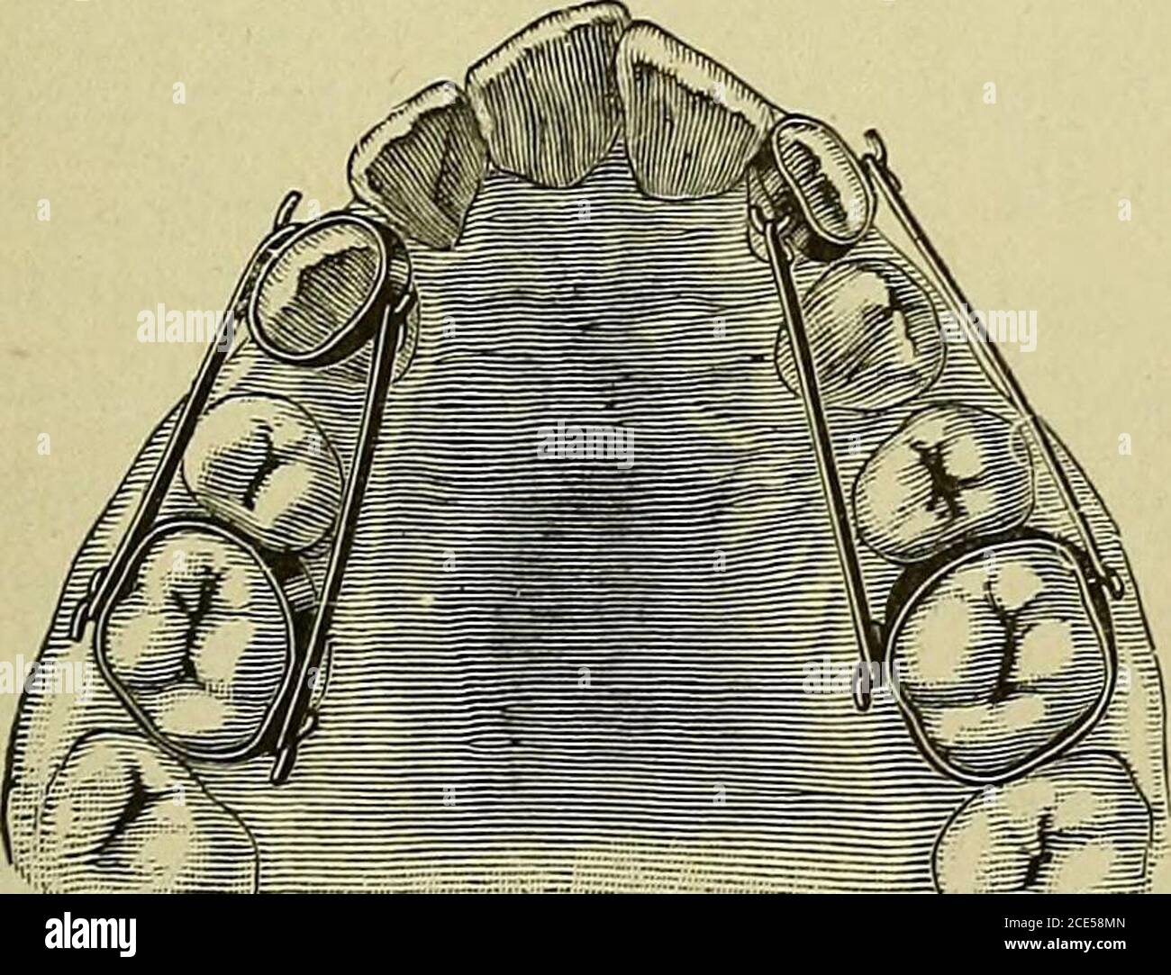 Rubber ri hi-res stock photography and images - Alamy