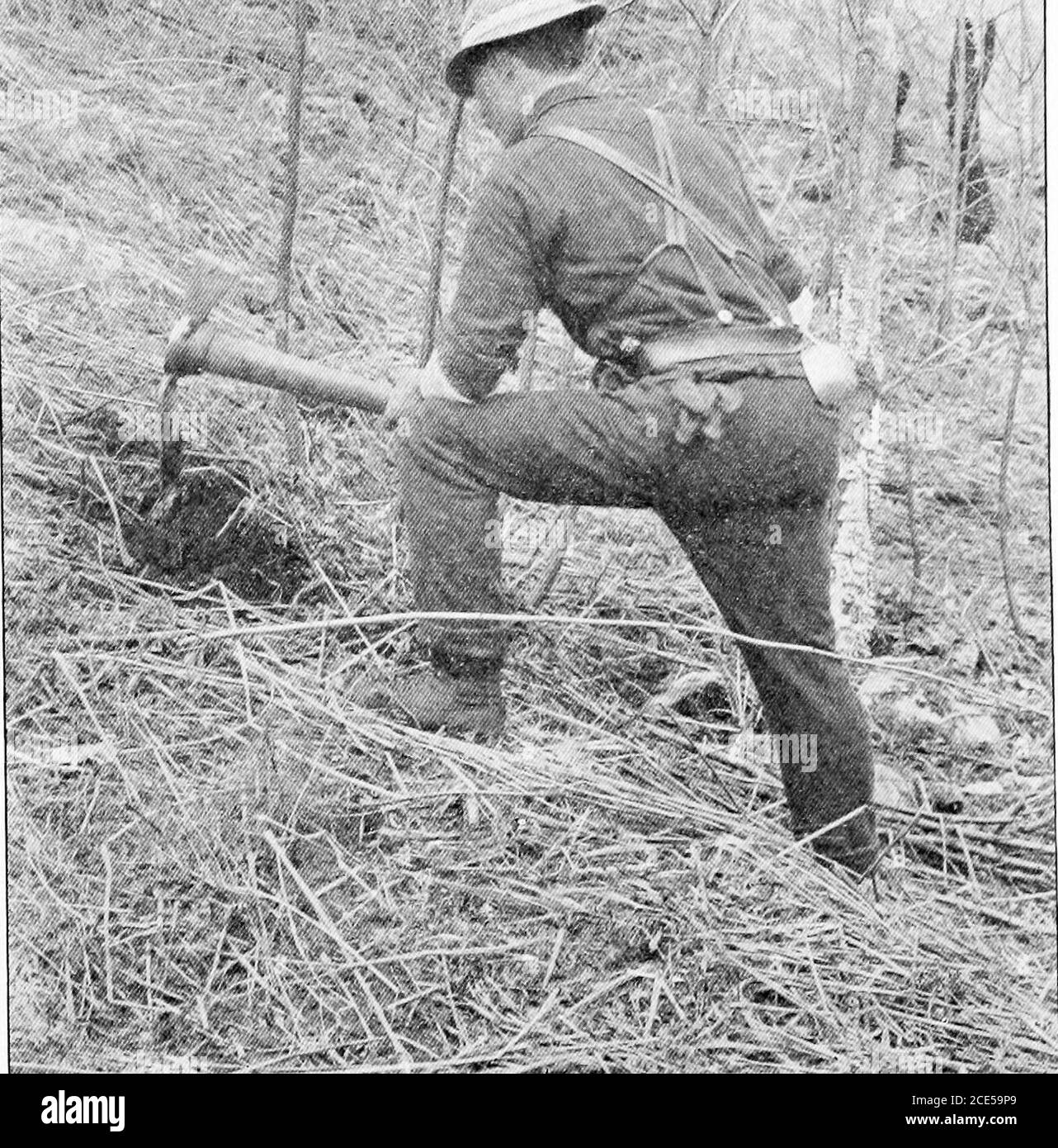 . Instructions for reforesting land Stock Photo - Alamy