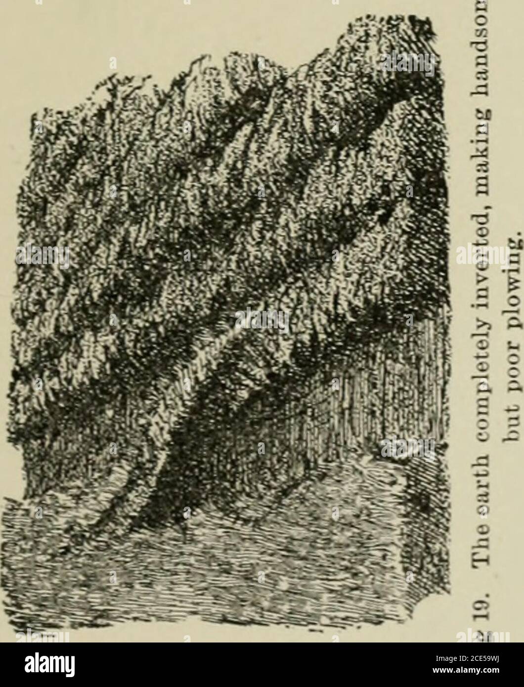 . The principles of agriculture; a text-book for schools and rural ...