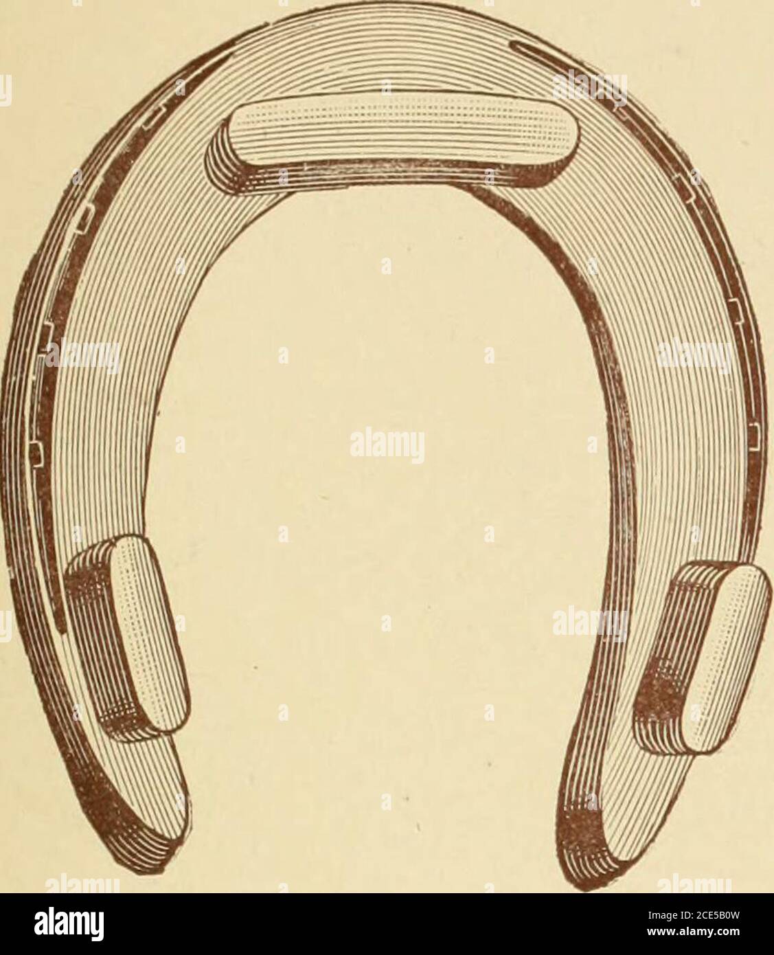 . The foot of the horse; or, Lameness and all diseases of the feet ...