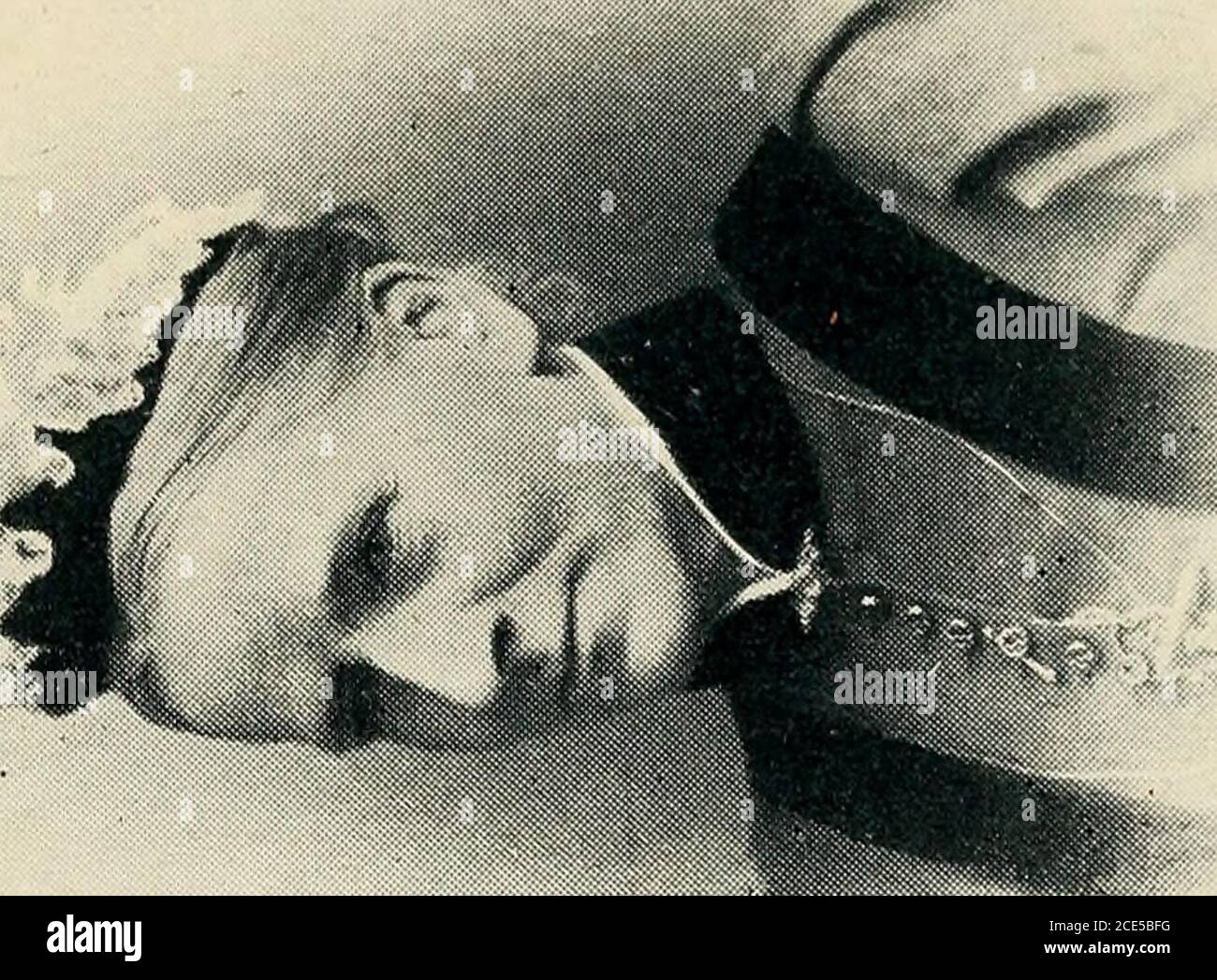 Anne bradbury hi-res stock photography and images - Alamy
