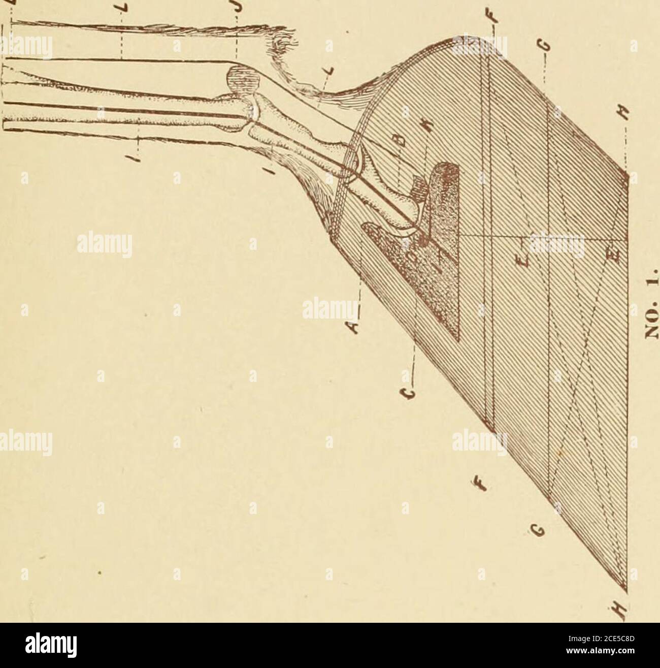 Unbalanced feet hi-res stock photography and images - Alamy