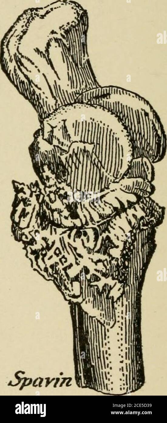 . Modern blacksmithing, rational horse shoeing and wagon making; with ...