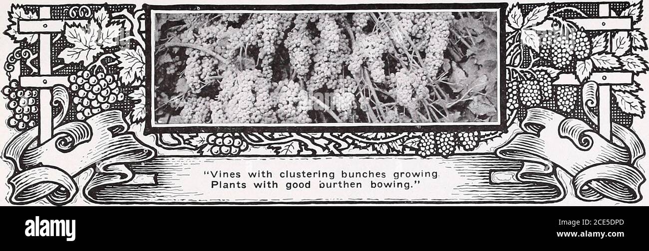 Four plus one apart hi-res stock photography and images - Alamy