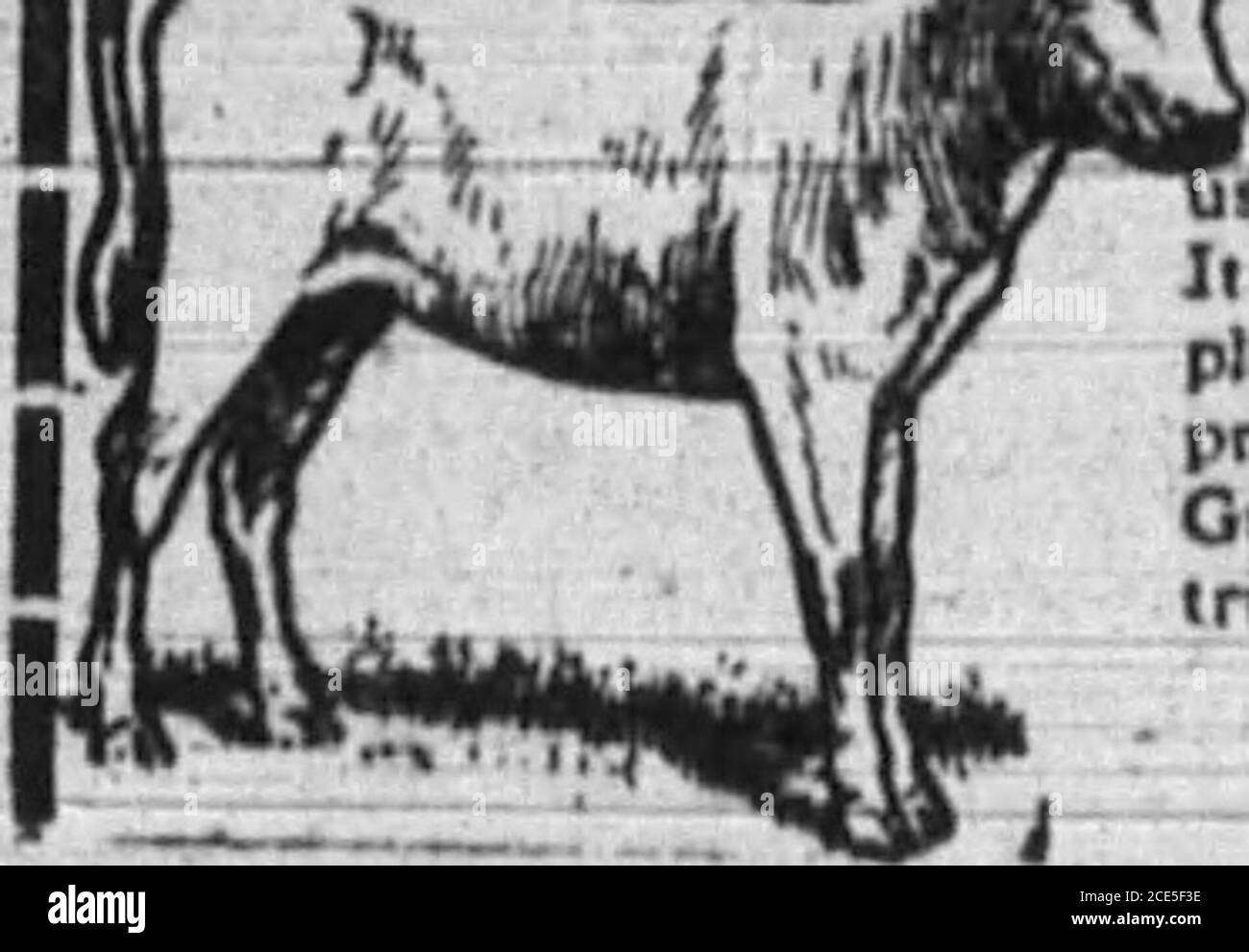 Pe 2 Black and White Stock Photos & Images - Alamy