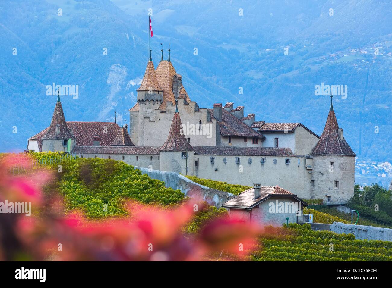 Chateau d'Aigle in canton Vaud, Switzerland Stock Photo - Alamy
