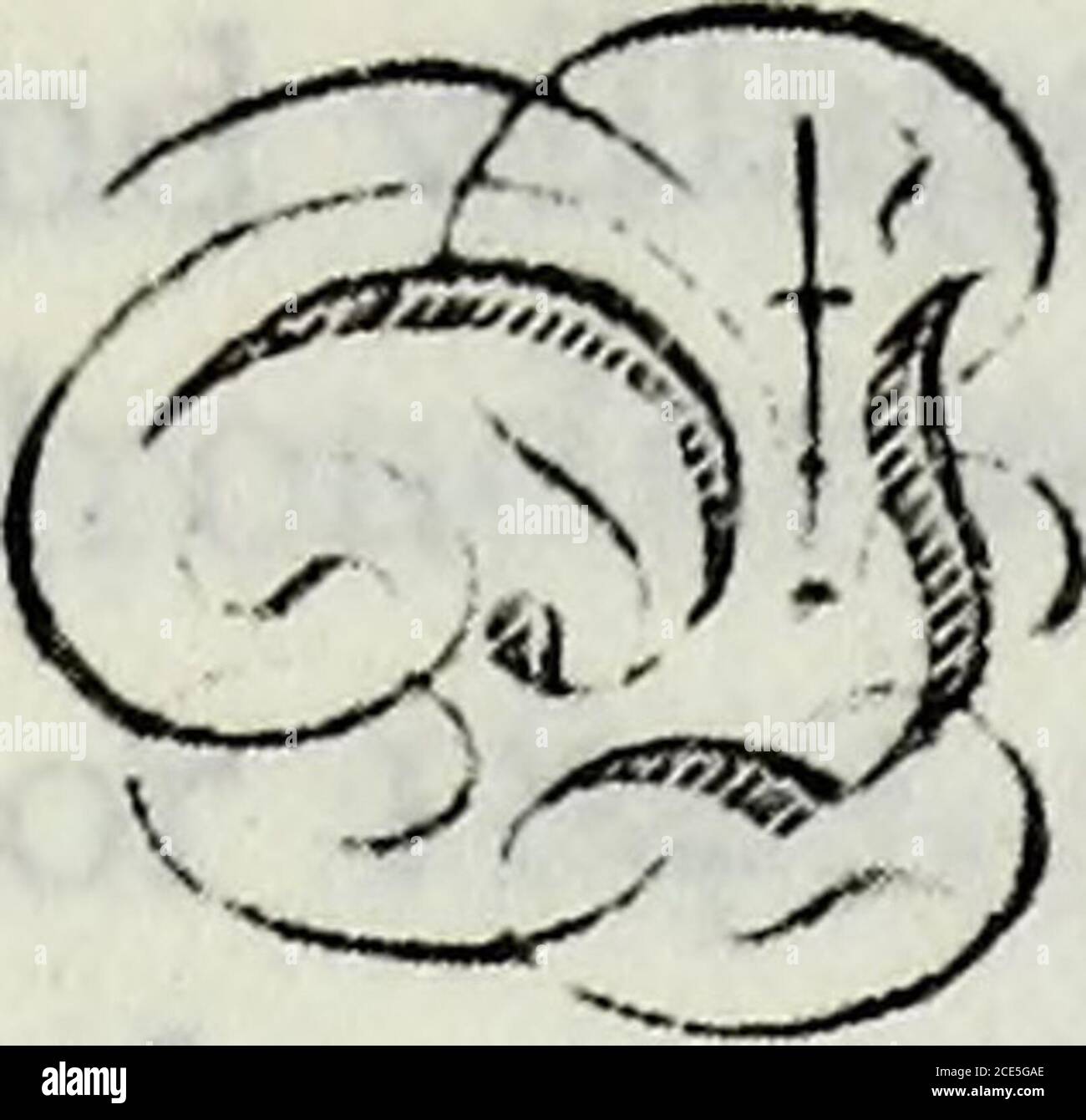 . Collections of the Illinois State Historical Library . general view ...