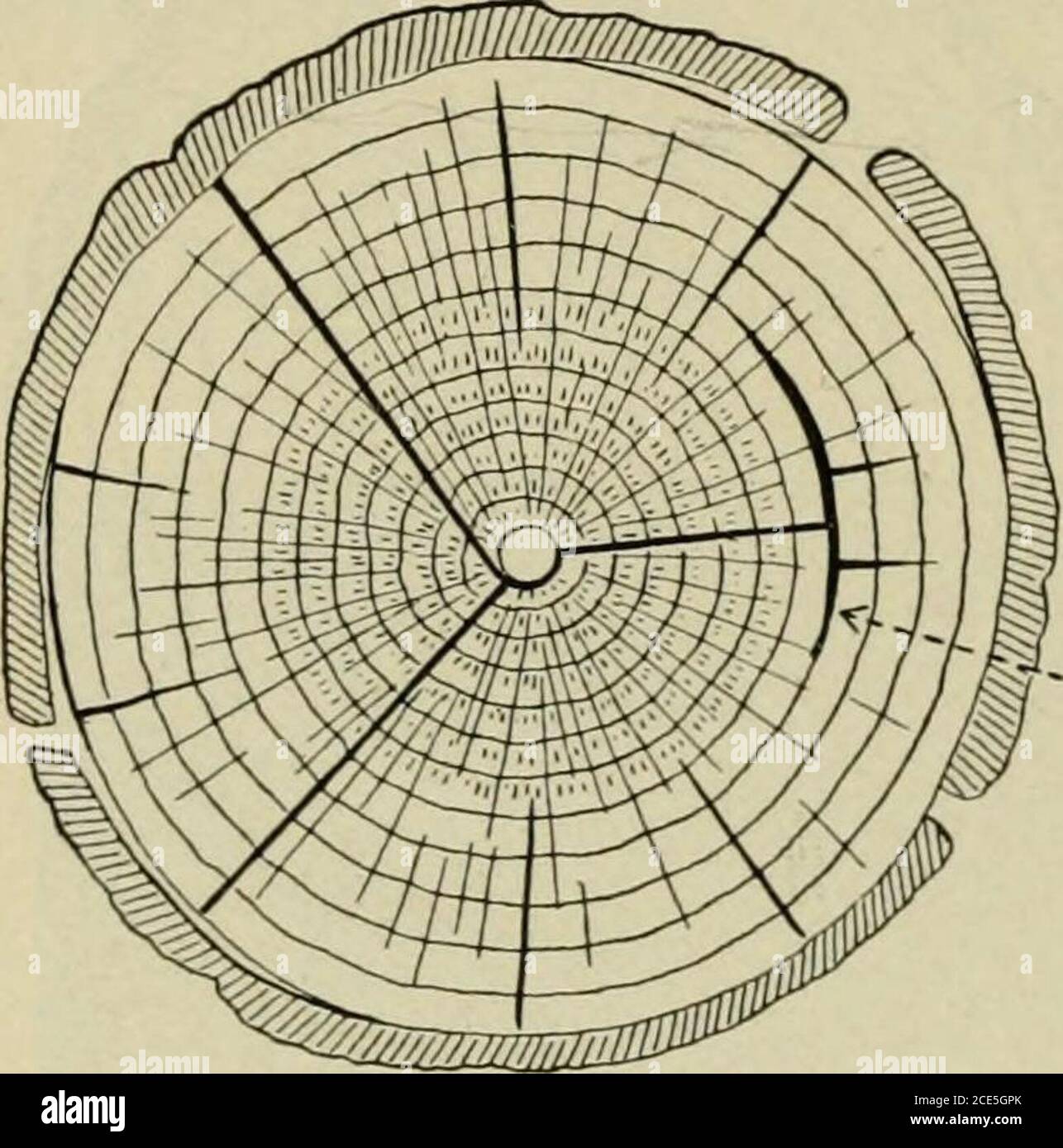. Elementary woodworking . Fig. 73. Log cut lengthwise, showinghow ...