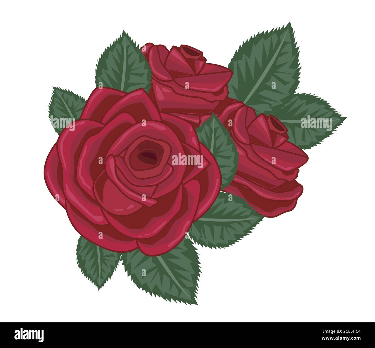 roses vector illustration on white Stock Vector Image & Art - Alamy