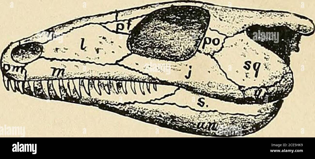 . Water reptiles of the past and present . Fig. 4 Fig. s Fig. 4 ...