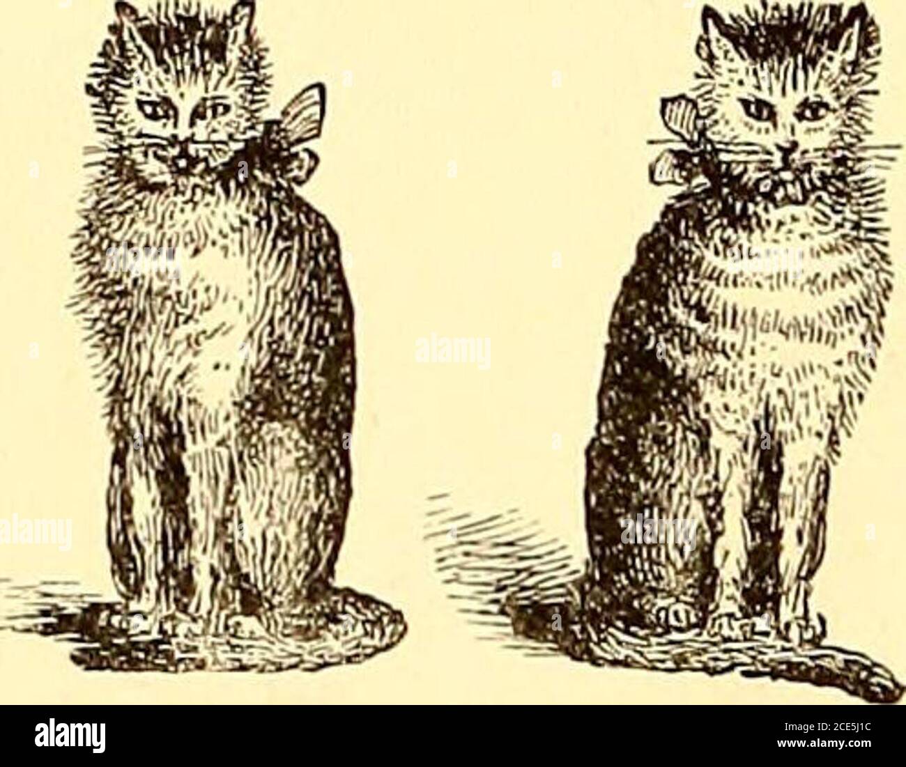 Pictorial language hi-res stock photography and images - Alamy