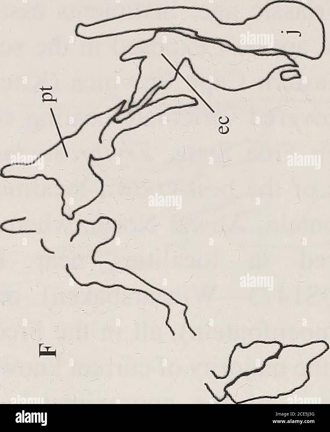 1993 flood hi-res stock photography and images - Alamy