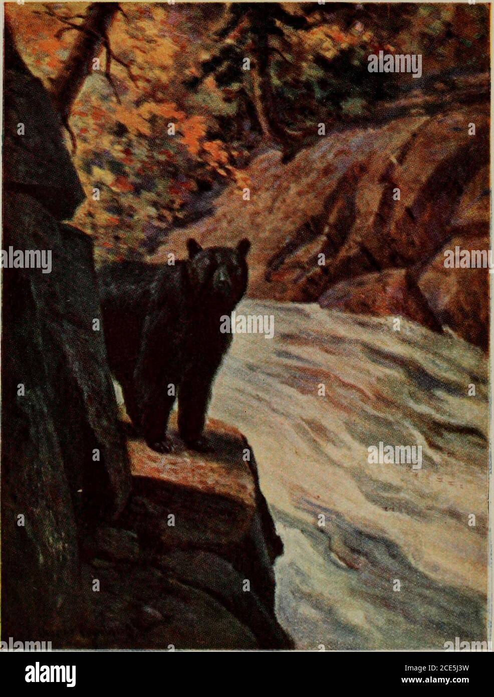 Adverbs hi-res stock photography and images - Alamy