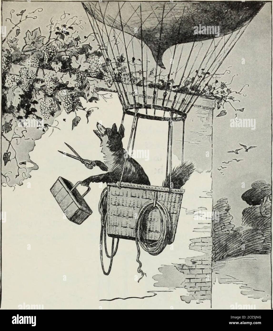 Hare And Tortoise Race High Resolution Stock Photography and Images - Alamy