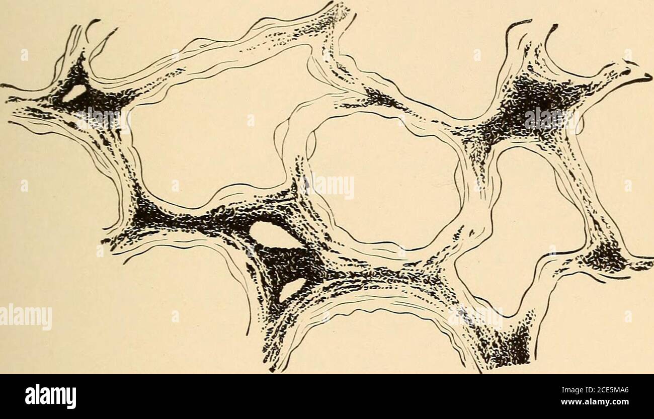 . Geriatrics; the diseases of old age and their treatment, including ...