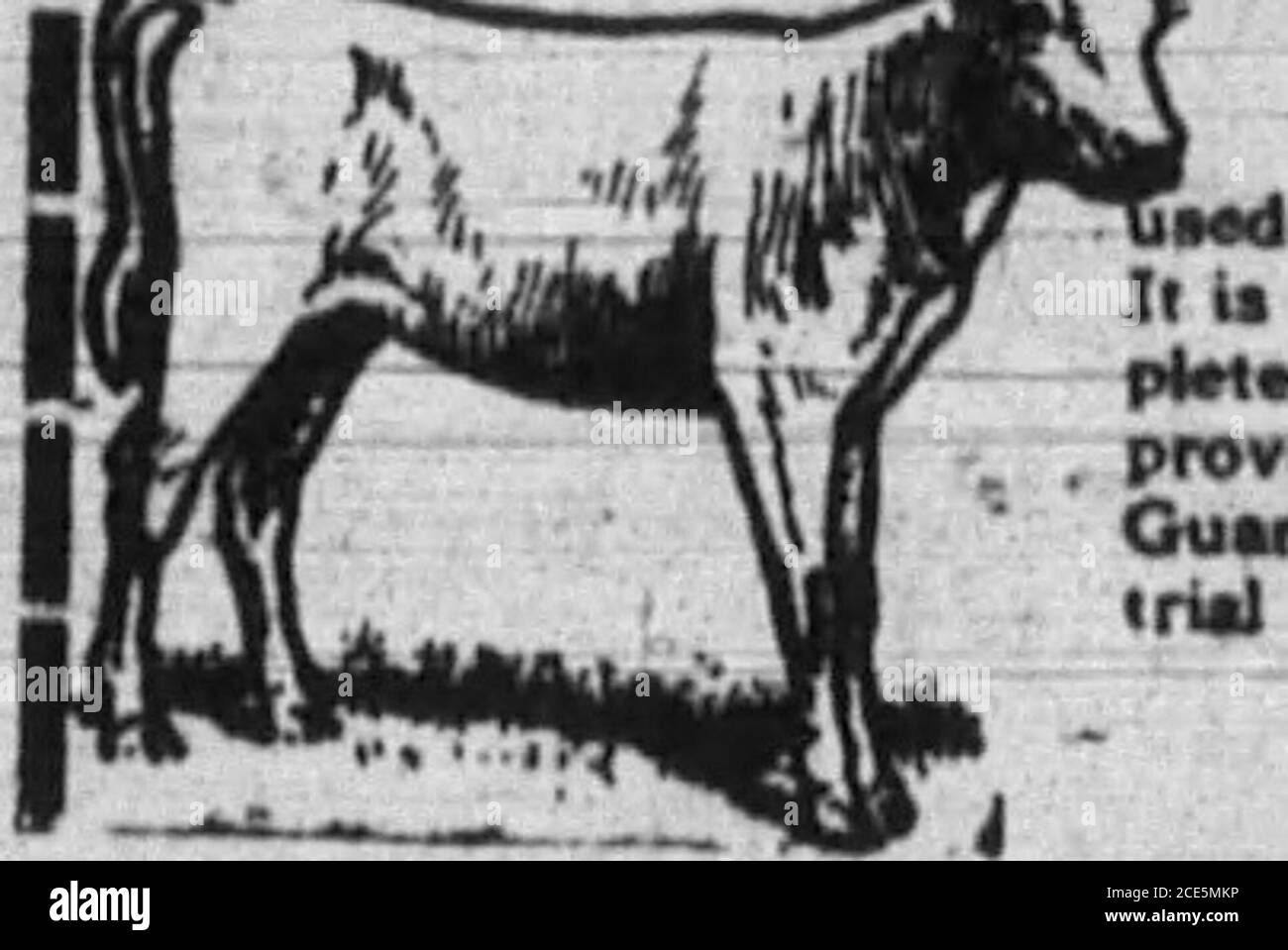 Milkl hi-res stock photography and images - Alamy