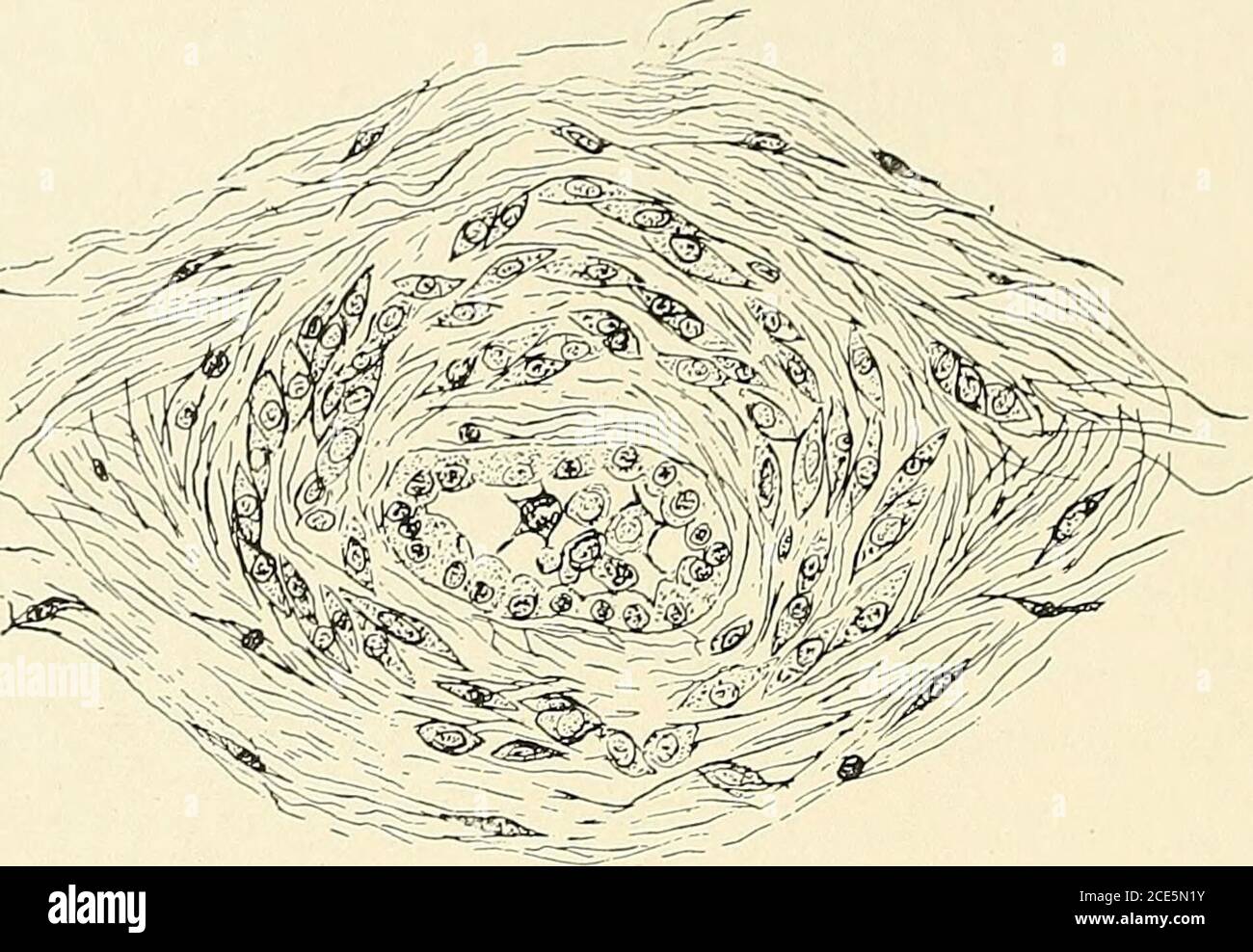 . American practice of surgery ; a complete system of the science and ...