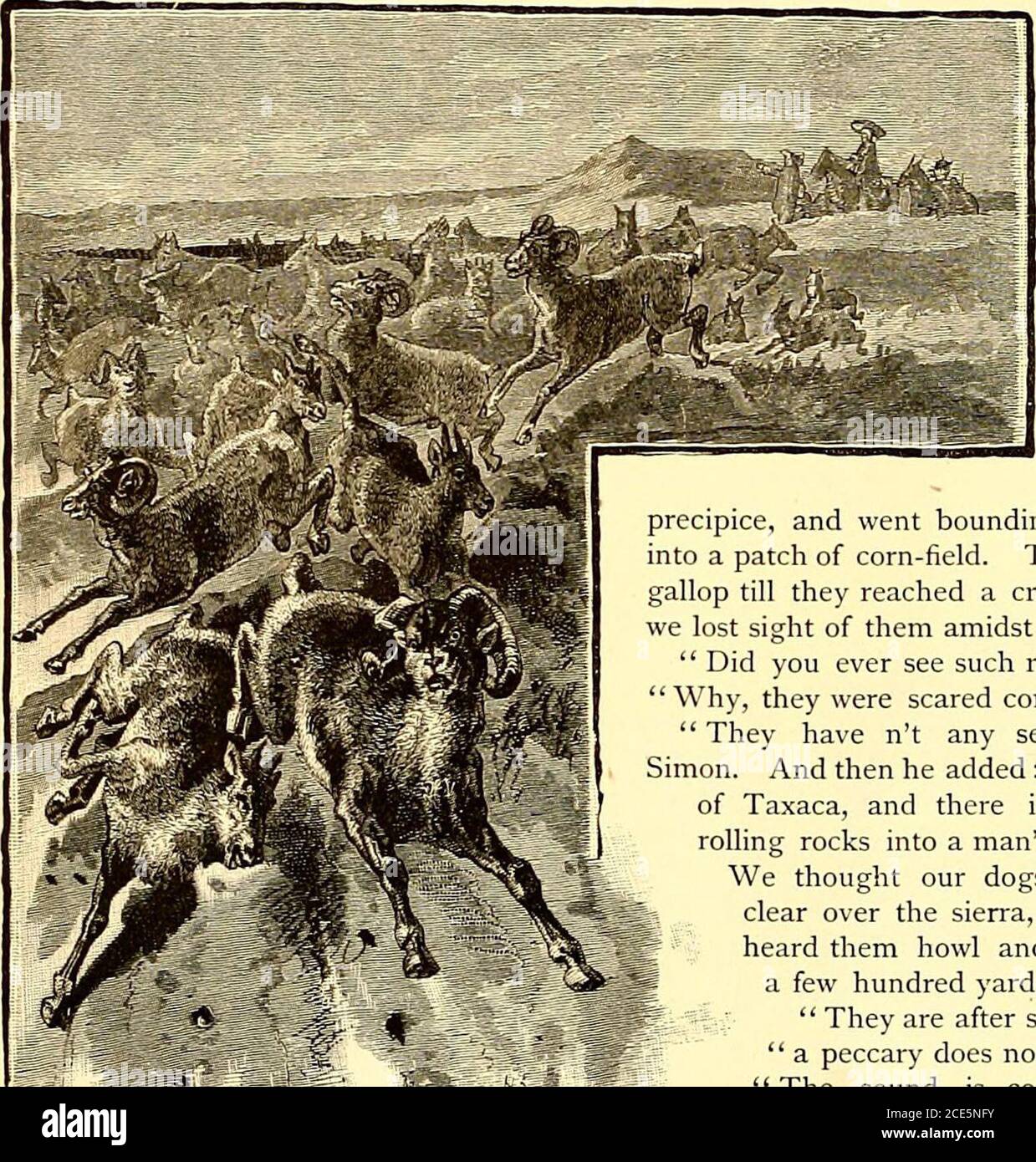 St felix iv hi-res stock photography and images - Alamy