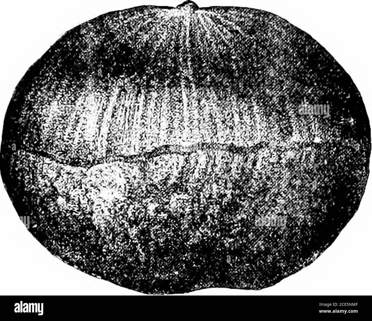 Ihut Black and White Stock Photos & Images - Alamy