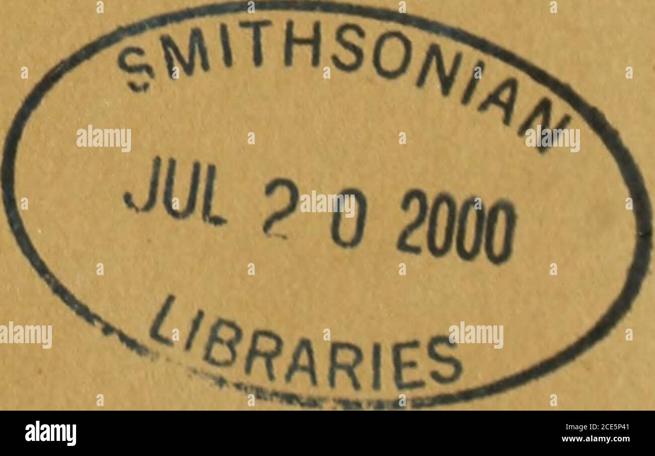 . Porto Rican elbow-stones in the Heye museum, with discussion of ...