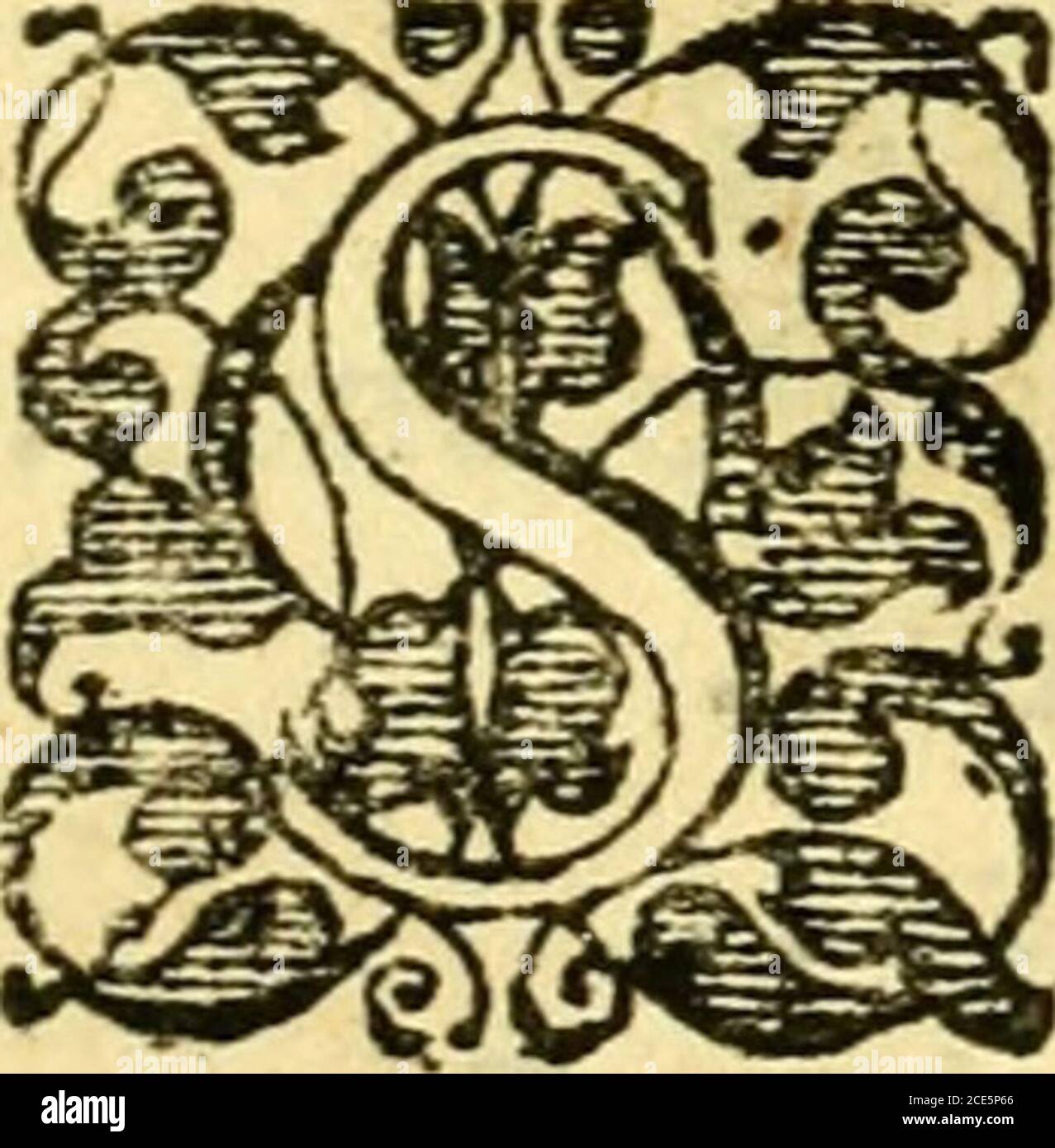 Ouid hi-res stock photography and images - Alamy