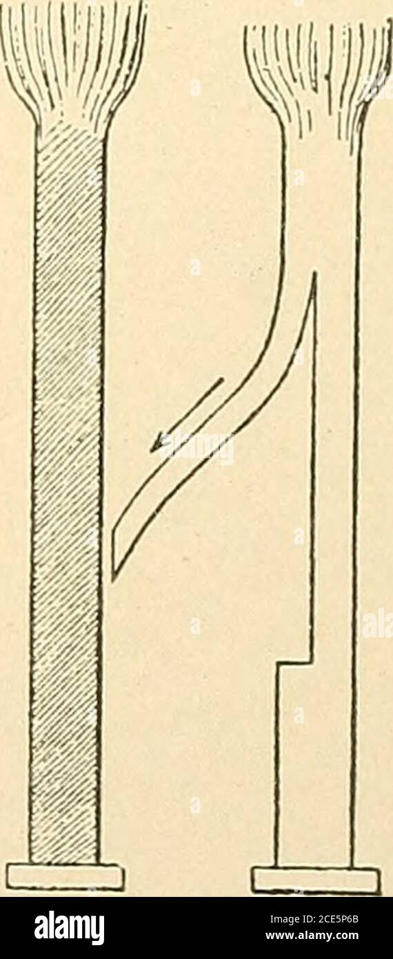 . American practice of surgery ; a complete system of the science and ...