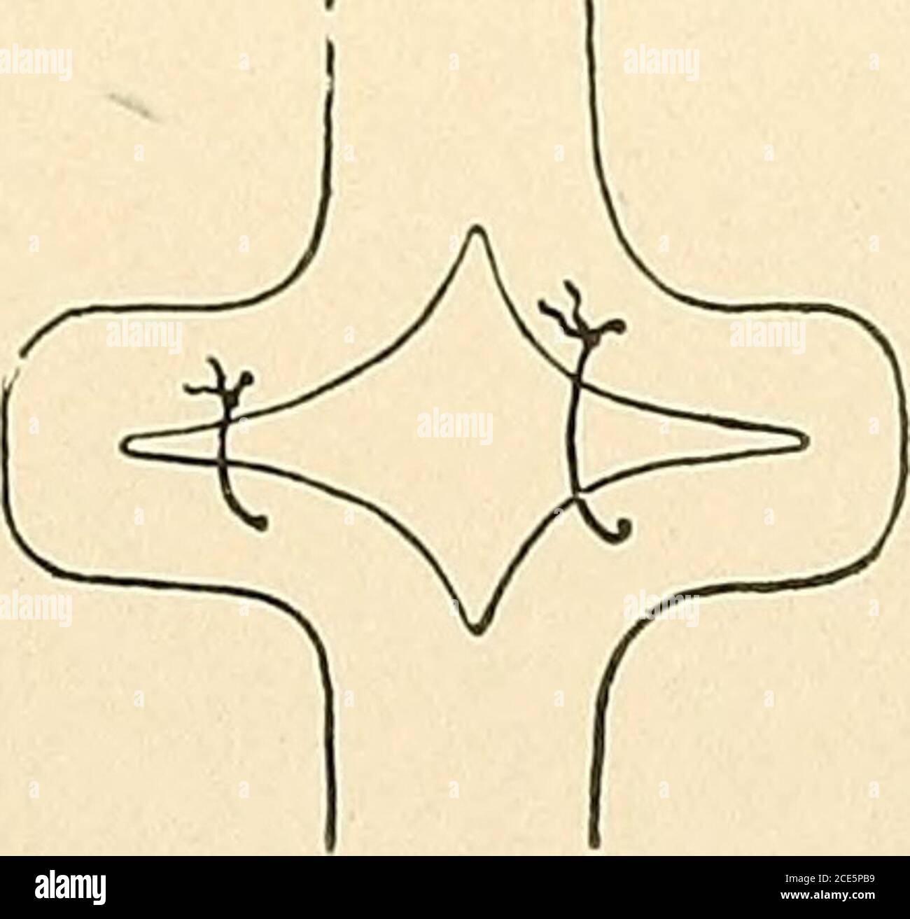 . American practice of surgery ; a complete system of the science and ...