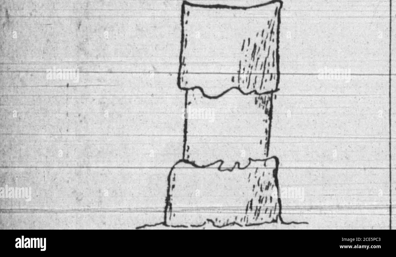 Girdling tree Black and White Stock Photos & Images - Alamy