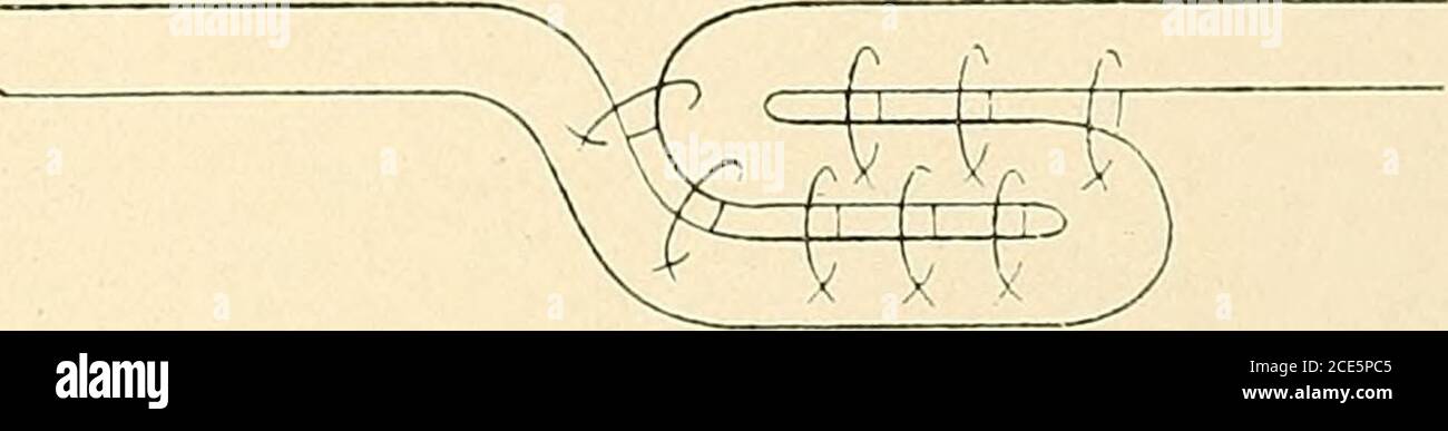 Vulpius hi-res stock photography and images - Alamy