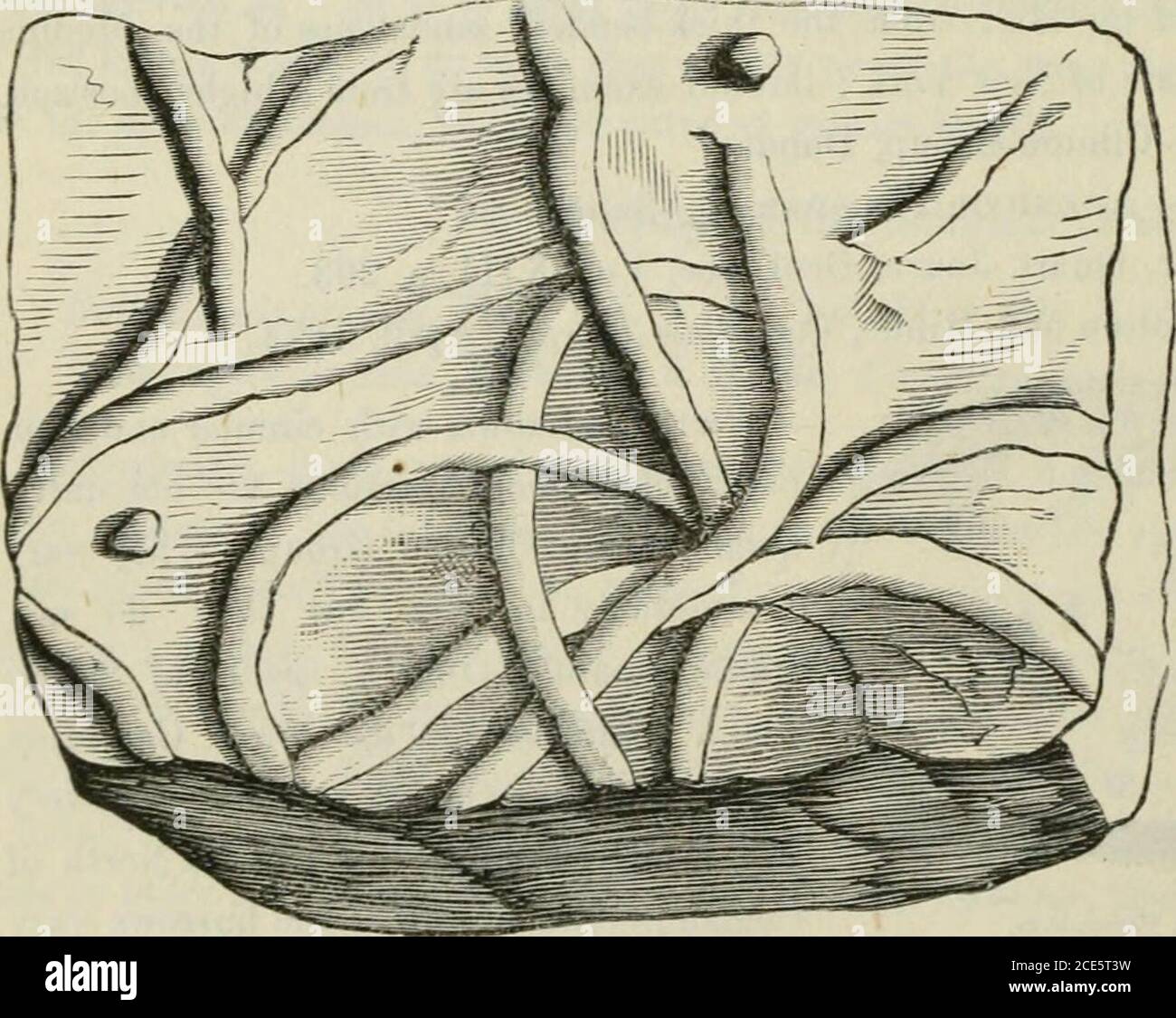 Roy nicholson hi-res stock photography and images - Alamy